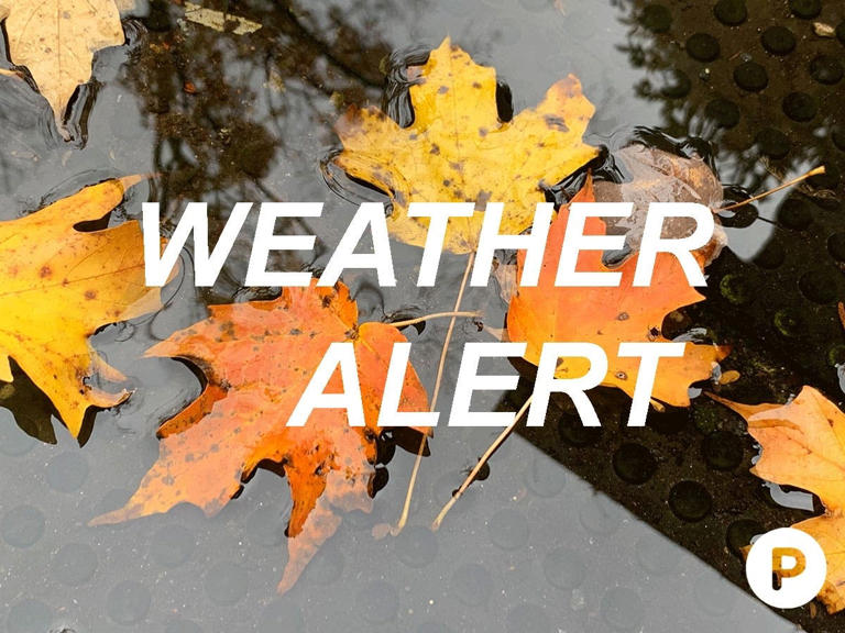 High Wind Gusts Pummel Long Island Over Past 24 Hours