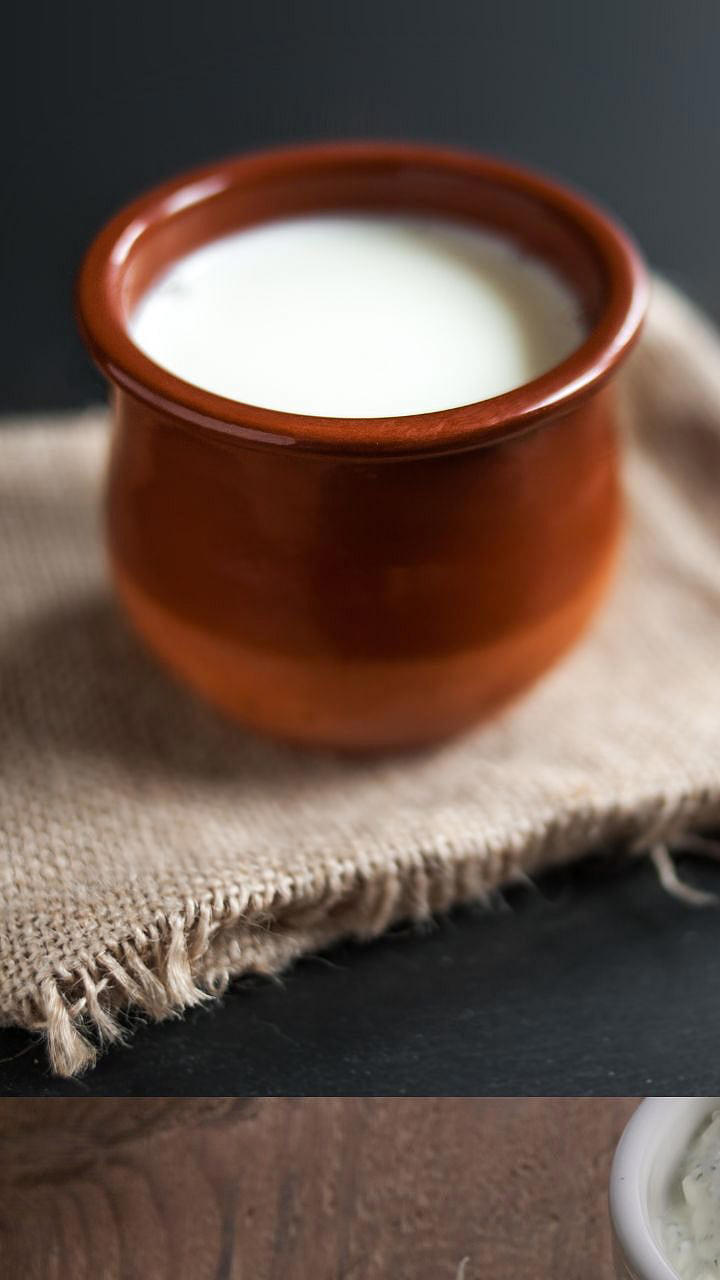 Curd Eating in Winter | हिवाळ्यात दही कसं, कोणत्या वेळी खावं?