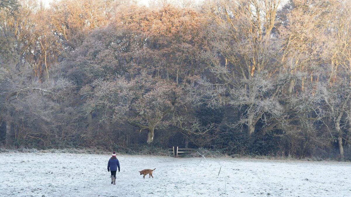 Temperatures to plunge to -3C as Arctic blast brings sleet, snow and ...