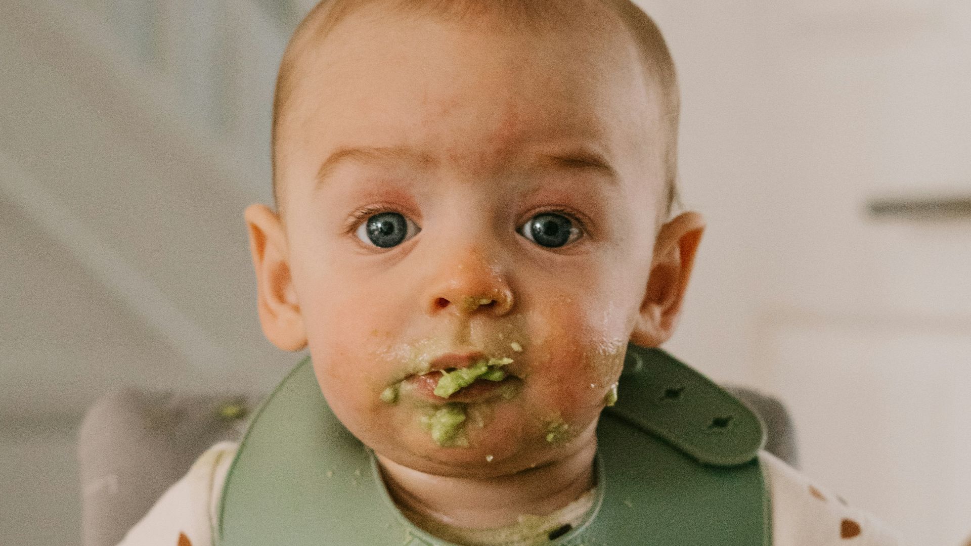 Gerber Once Tried To Make Adult Baby Food, And No, It Didn’t Go Well