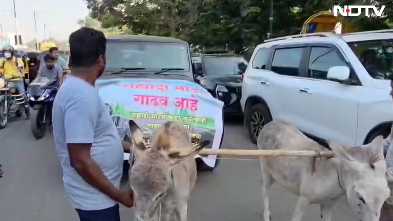 Fed Up With Thar Breaking Down, Pune Man Gets Donkeys To Pull It To ...