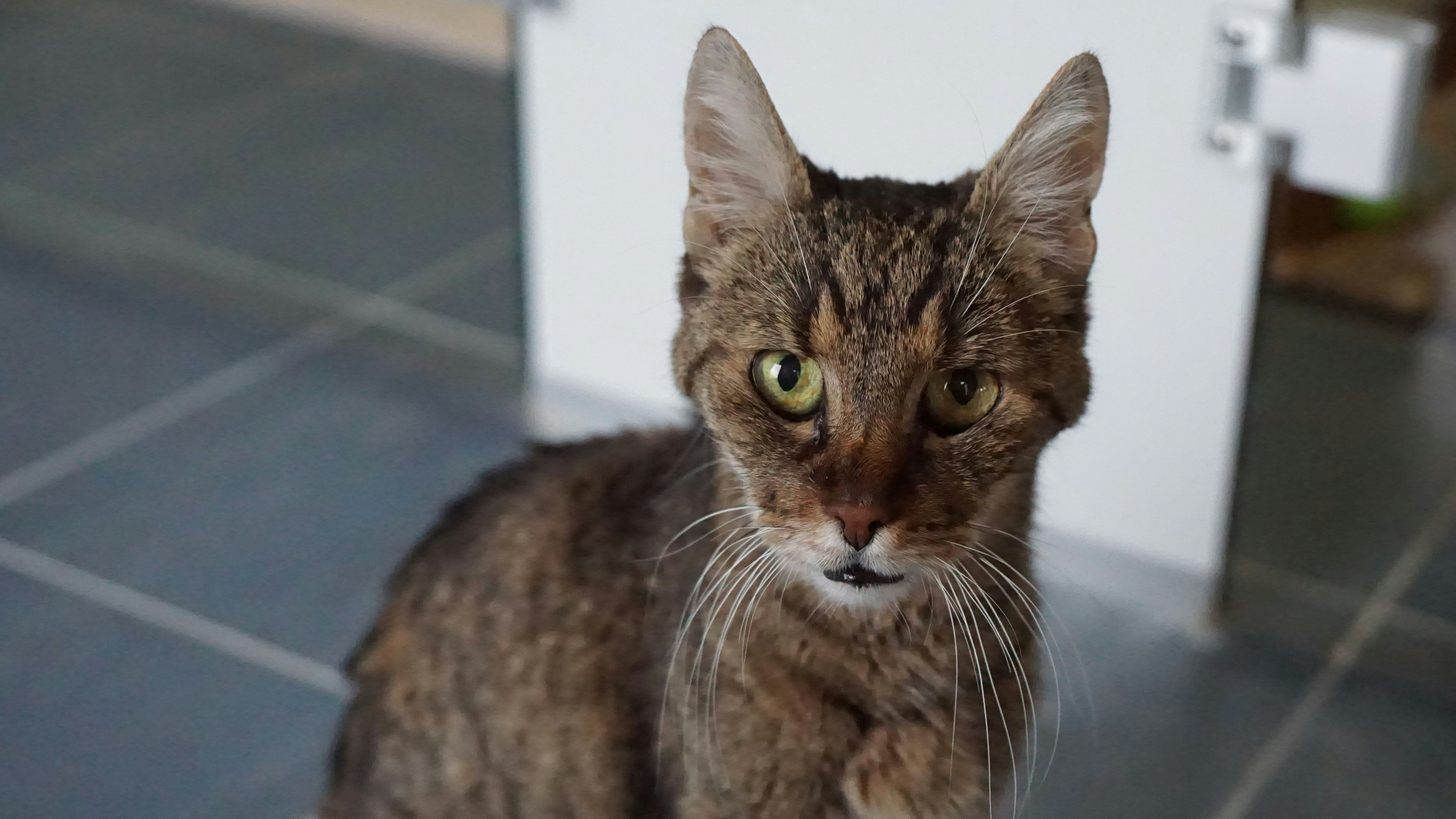 Brenda will einfach nur Liebe