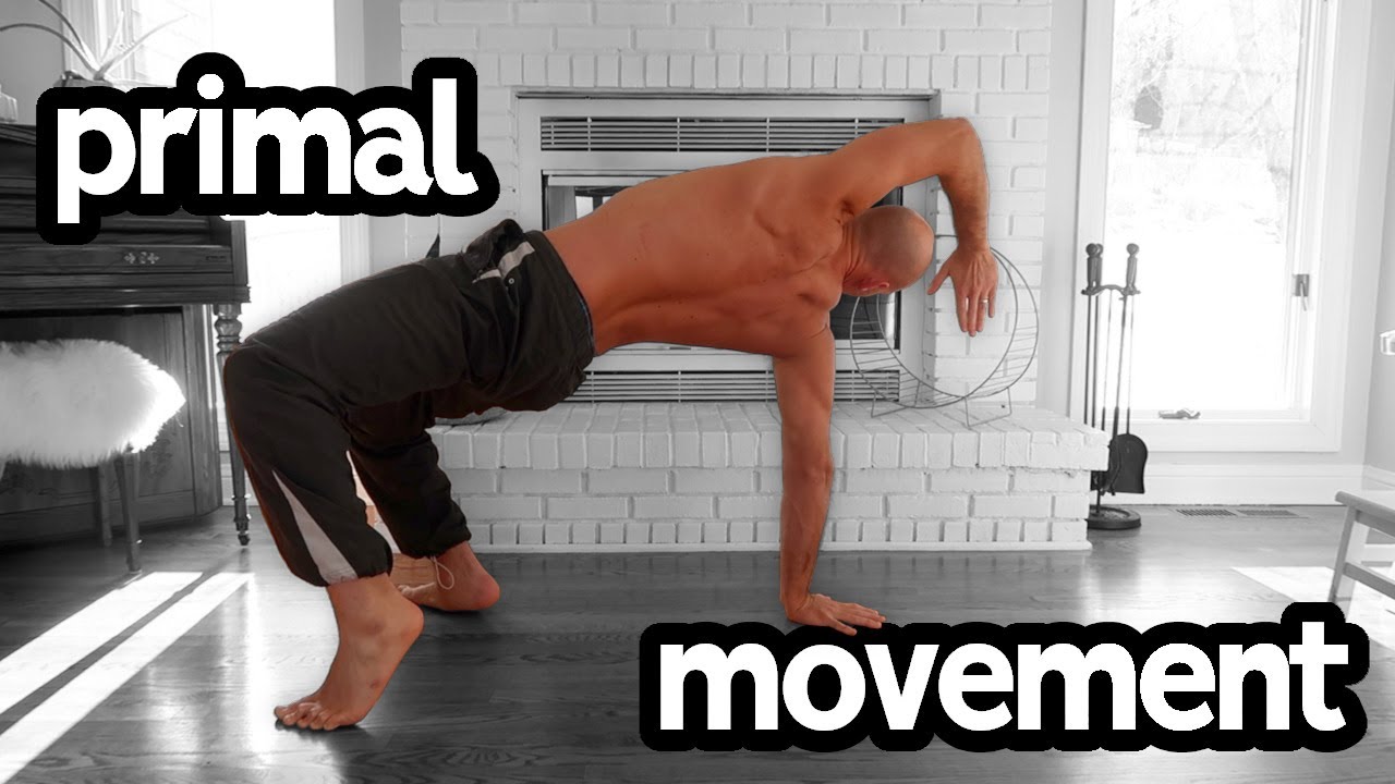 Primal Movement Beginner Flow Tutorial for Strength