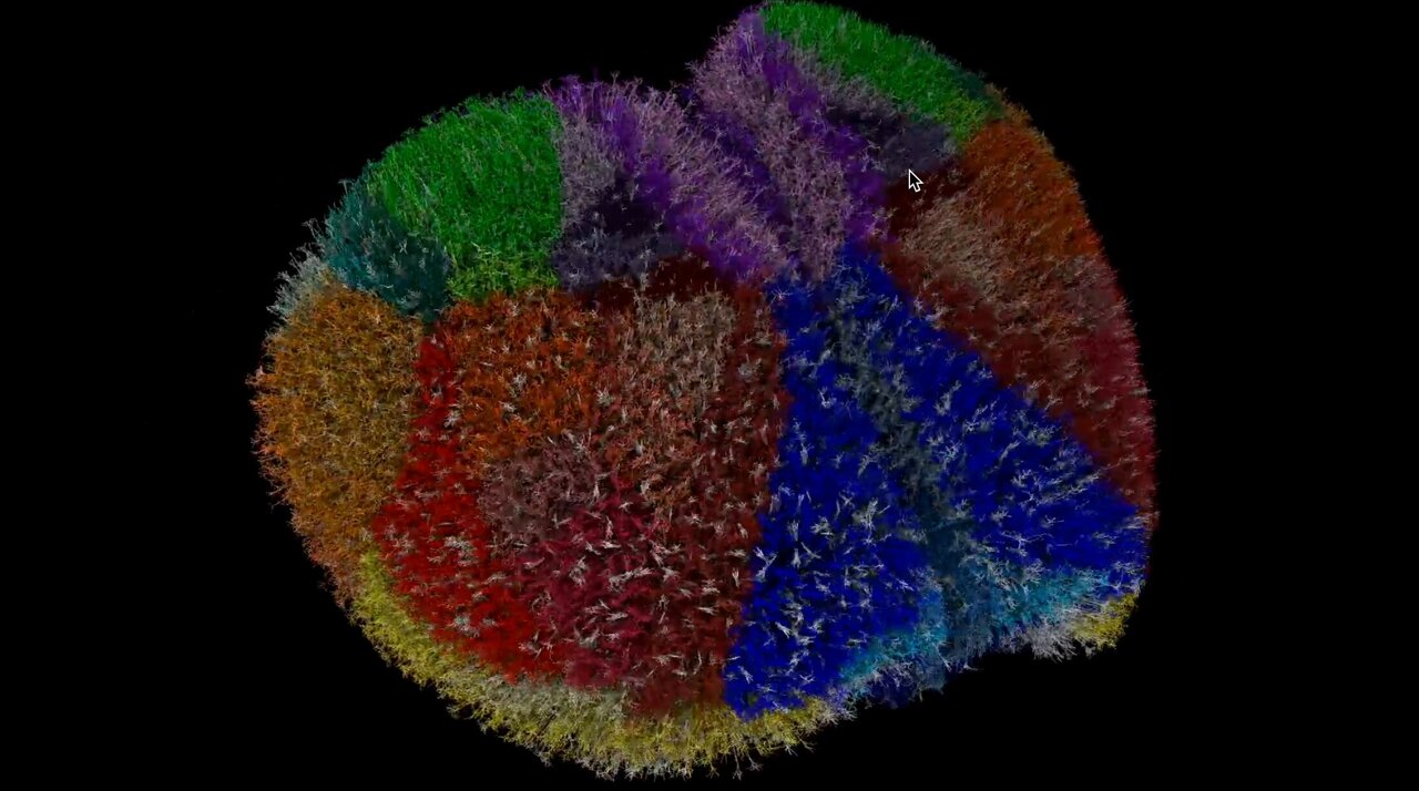 Supercomputer simulation is changing how we study the brain