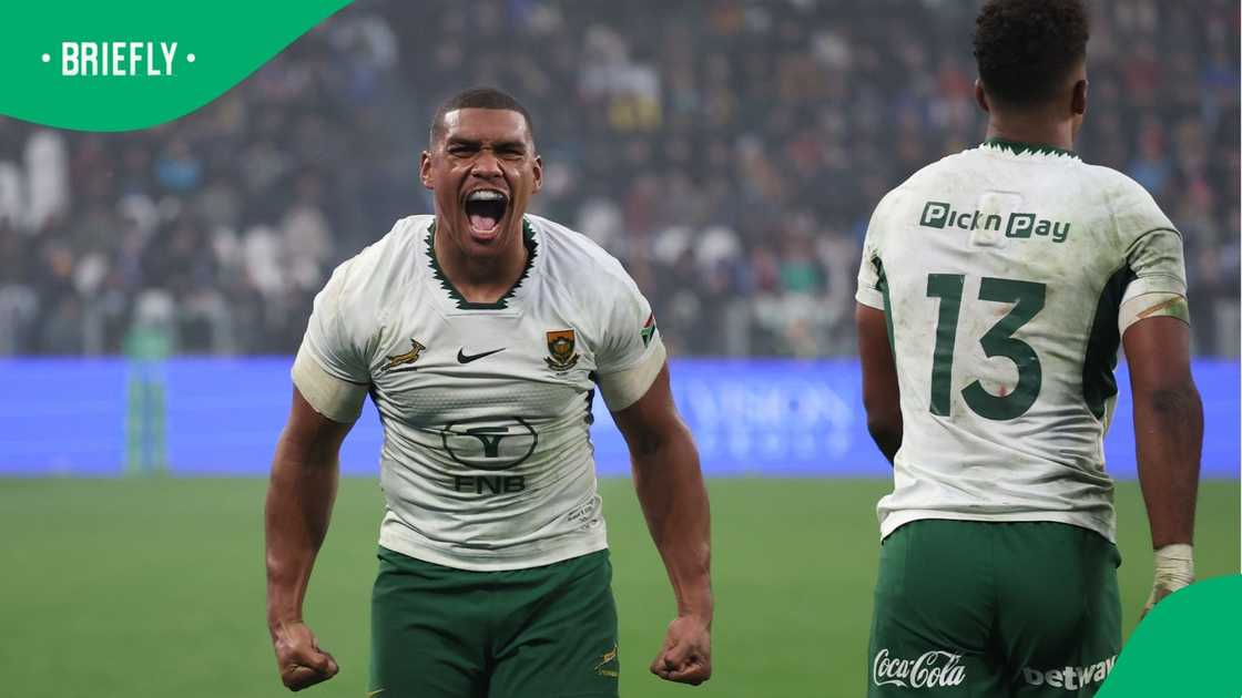 Springboks triumph over Italy: Fans celebrate Ethan Hooker's try with ...