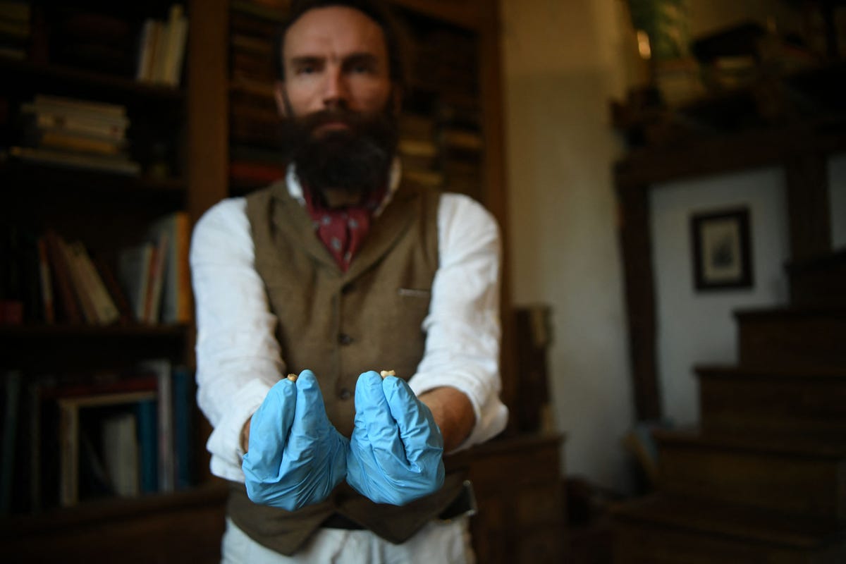 Scientists Sequenced the DNA of the ‘Last Neanderthal’—and It Alters ...