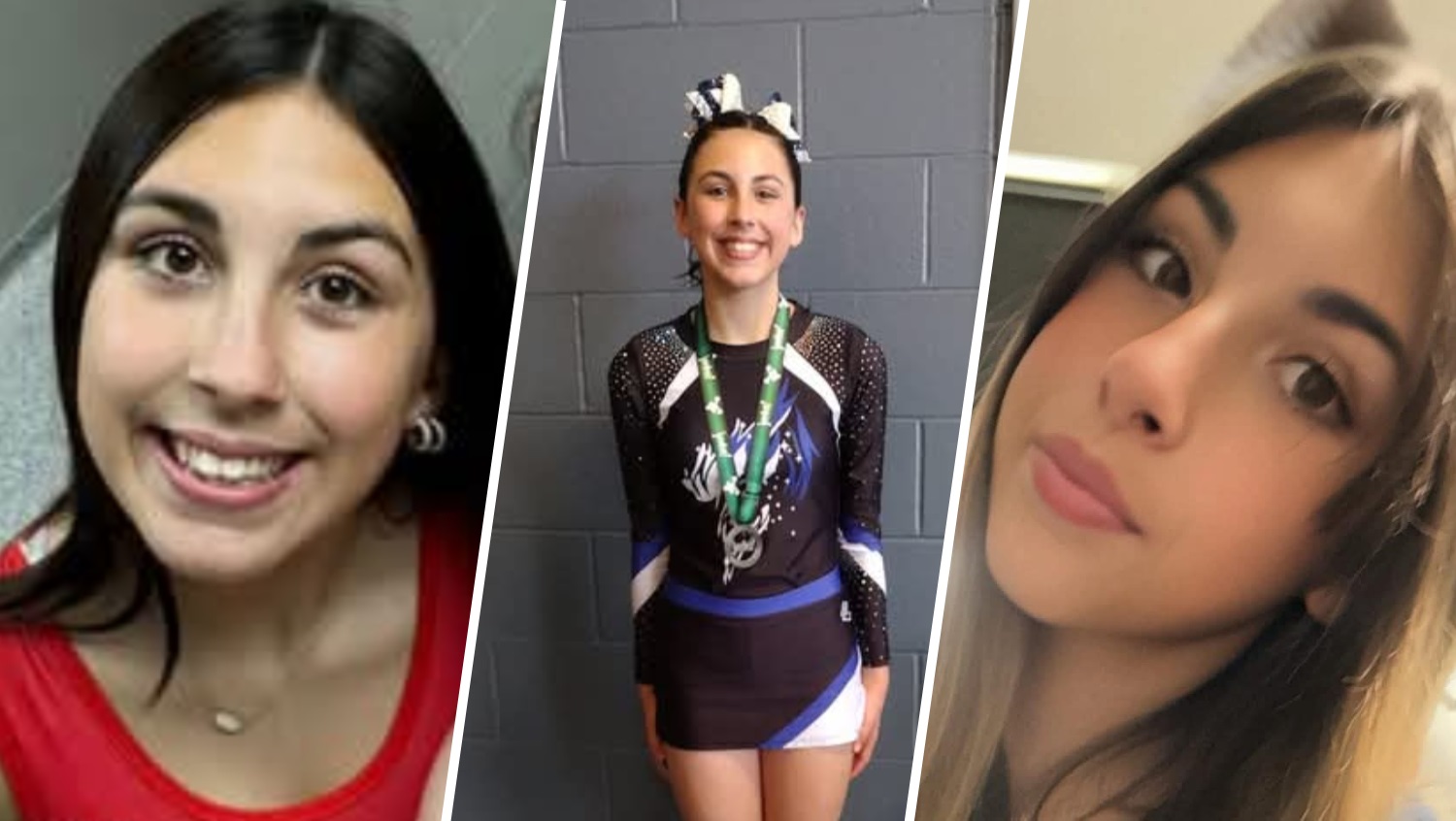 Details emerge in 14-year-old Illinois girl's murder as police ...