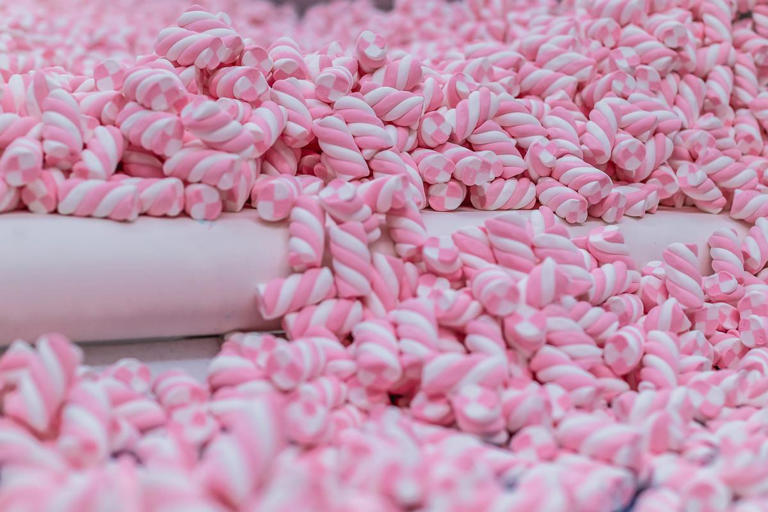 Fini Golosinas: la empresa murciana que endulza al mundo