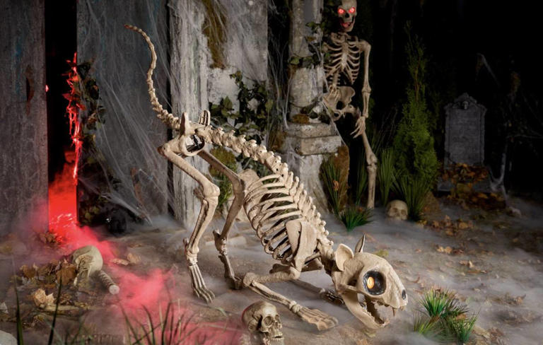 Home Depot Brings Back Popular Giant Skelly and Introduces New ...