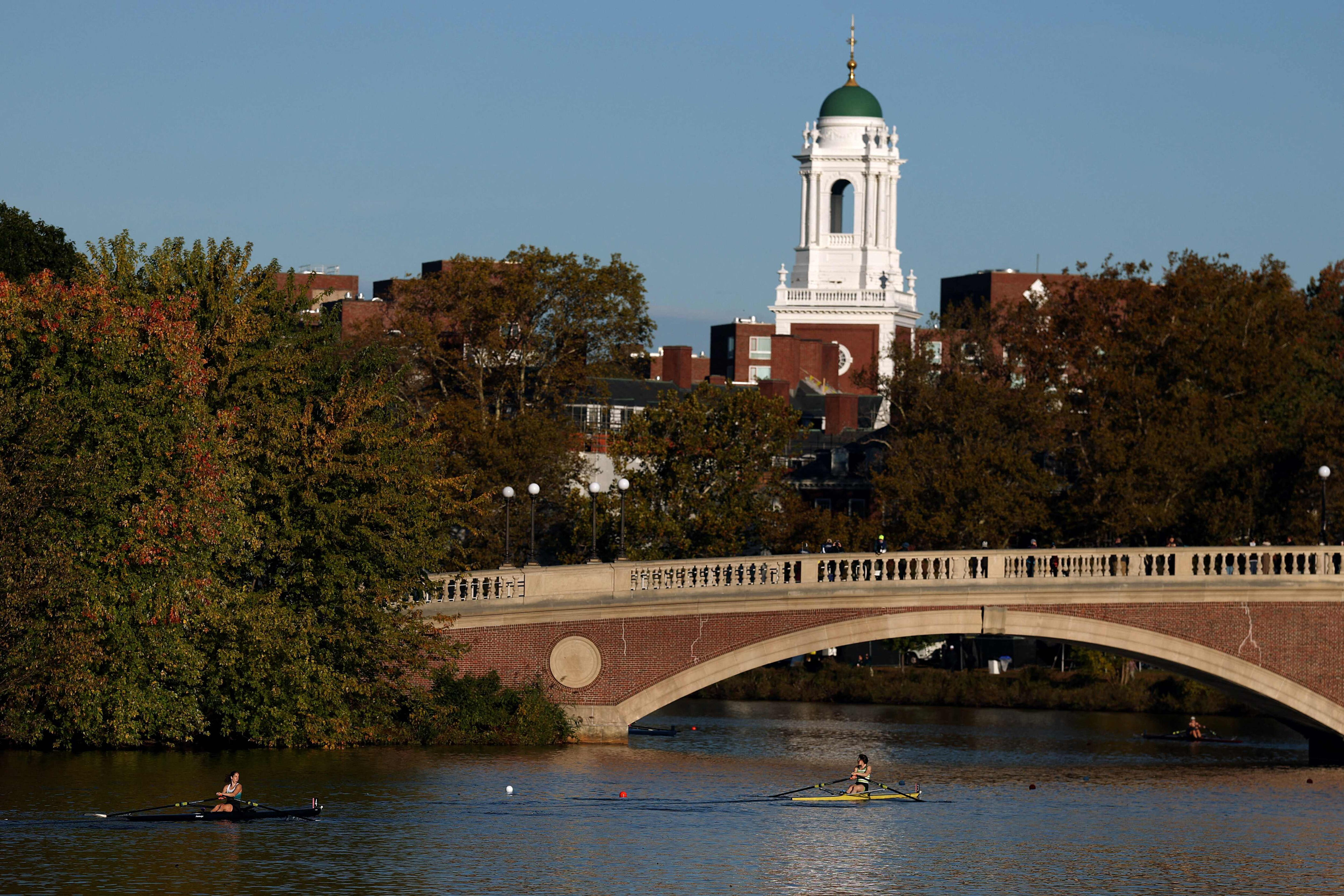 U.S. International Student Enrollments Decline 17% Under Trump