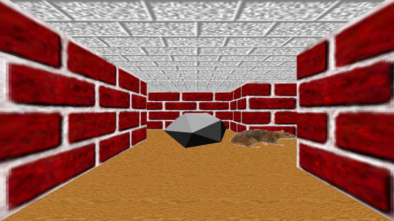 I just discovered you can control the 3D Maze screensaver from Windows ...