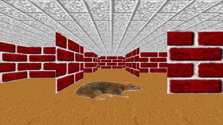 I just discovered you can control the 3D Maze screensaver from Windows ...