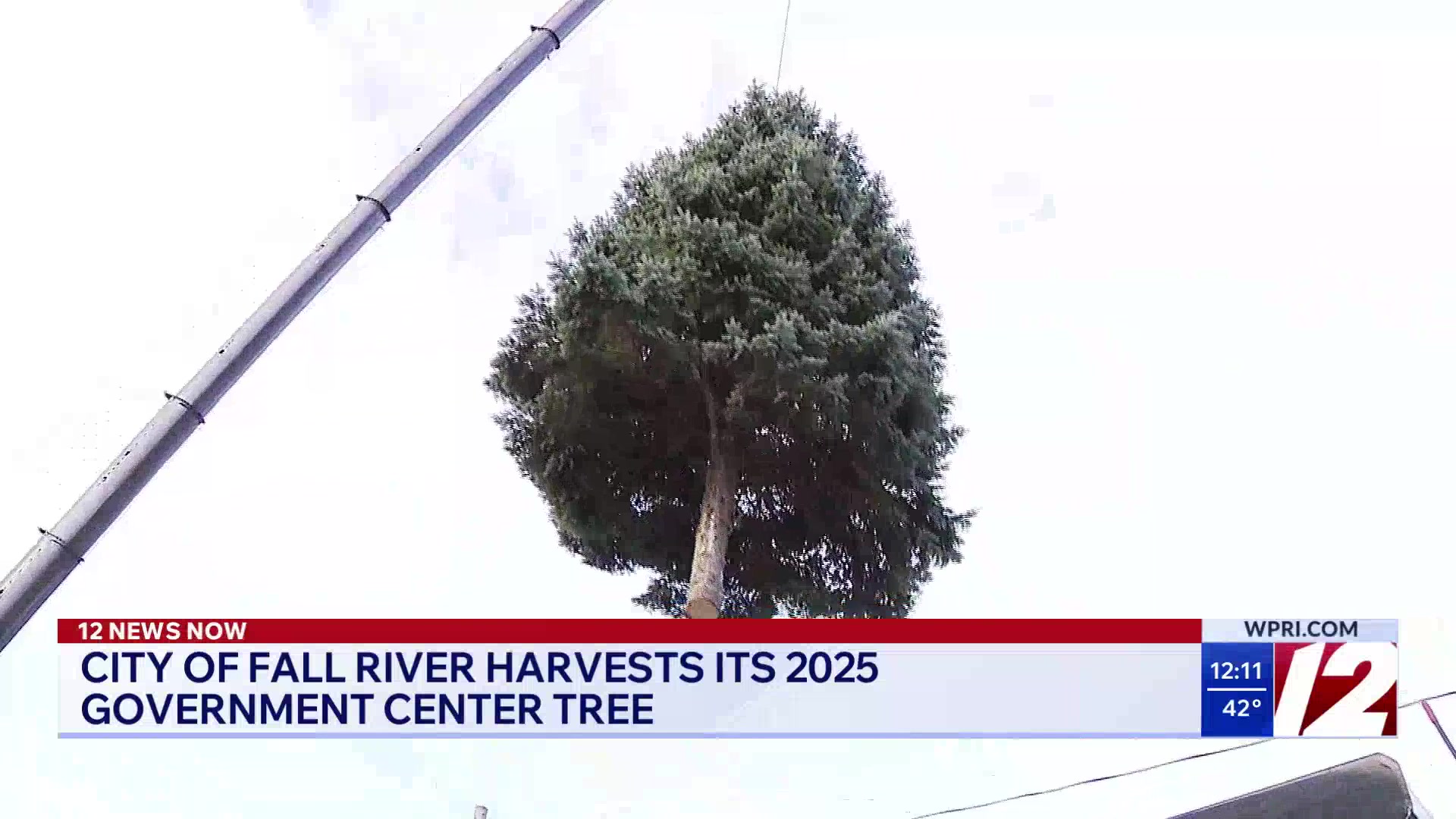 City of Fall River harvests 2025 Government Center tree