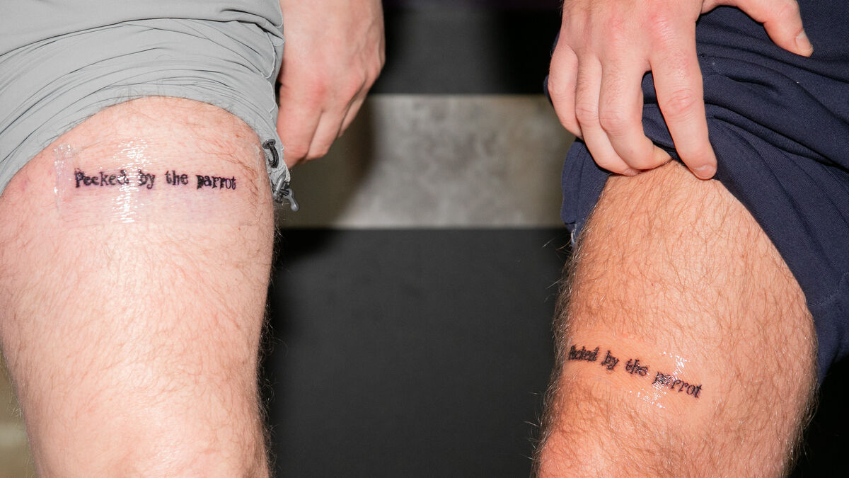 'Pecked by the Parrott': Irish fans return home with fresh hope... and ...