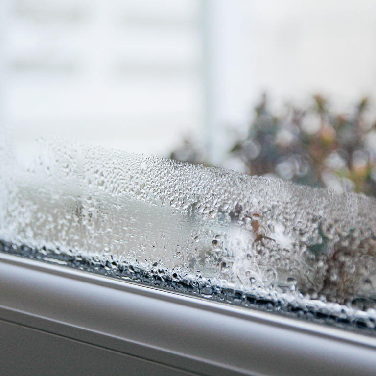 The one spot that makes a dehumidifier better at stopping window ...