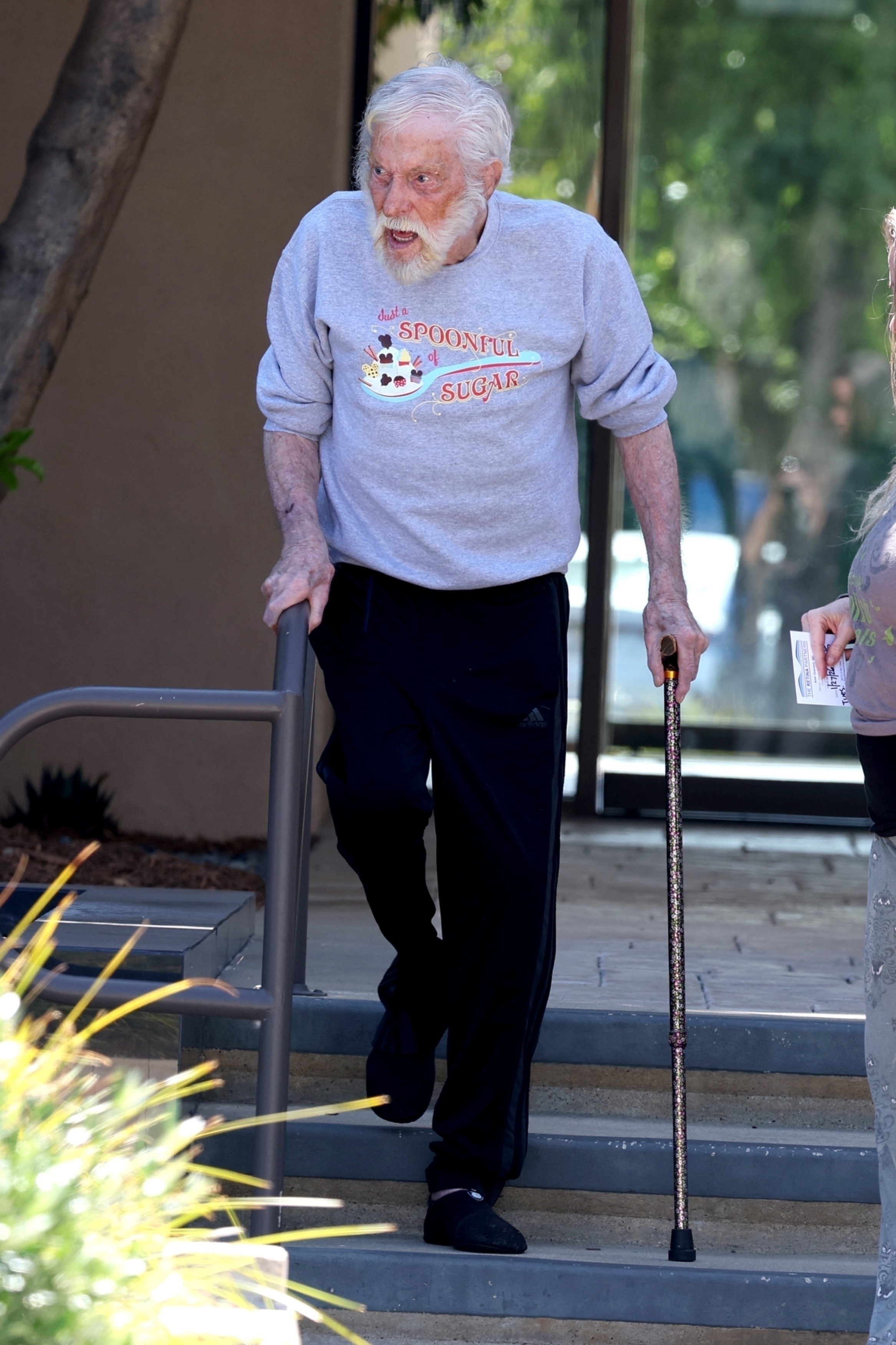 ‘Diminished’ Dick Van Dyke shares candid health update weeks before ...