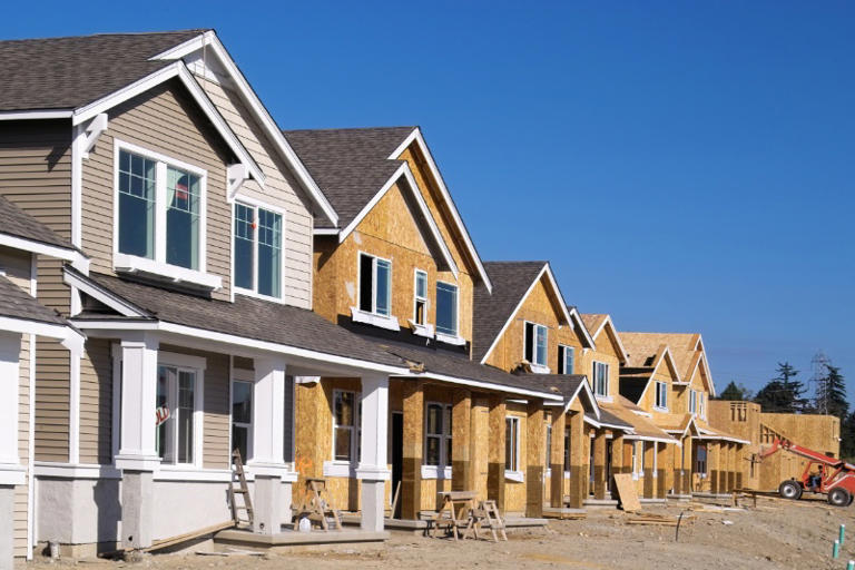 How Americans Are Buying Homes With Little Money Down: The New ...