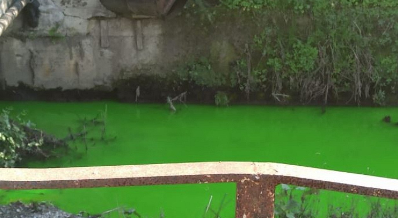 Affluente del fiume Sarno, l'acqua ad Angri diventa verde: la denuncia