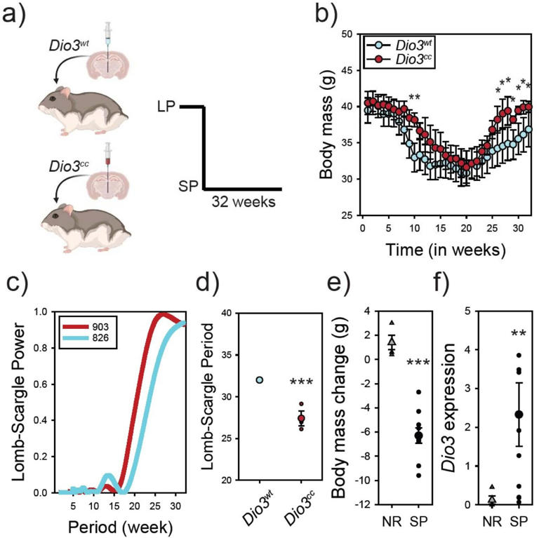 Scientists pinpoint single gene responsible for initiating winter ...