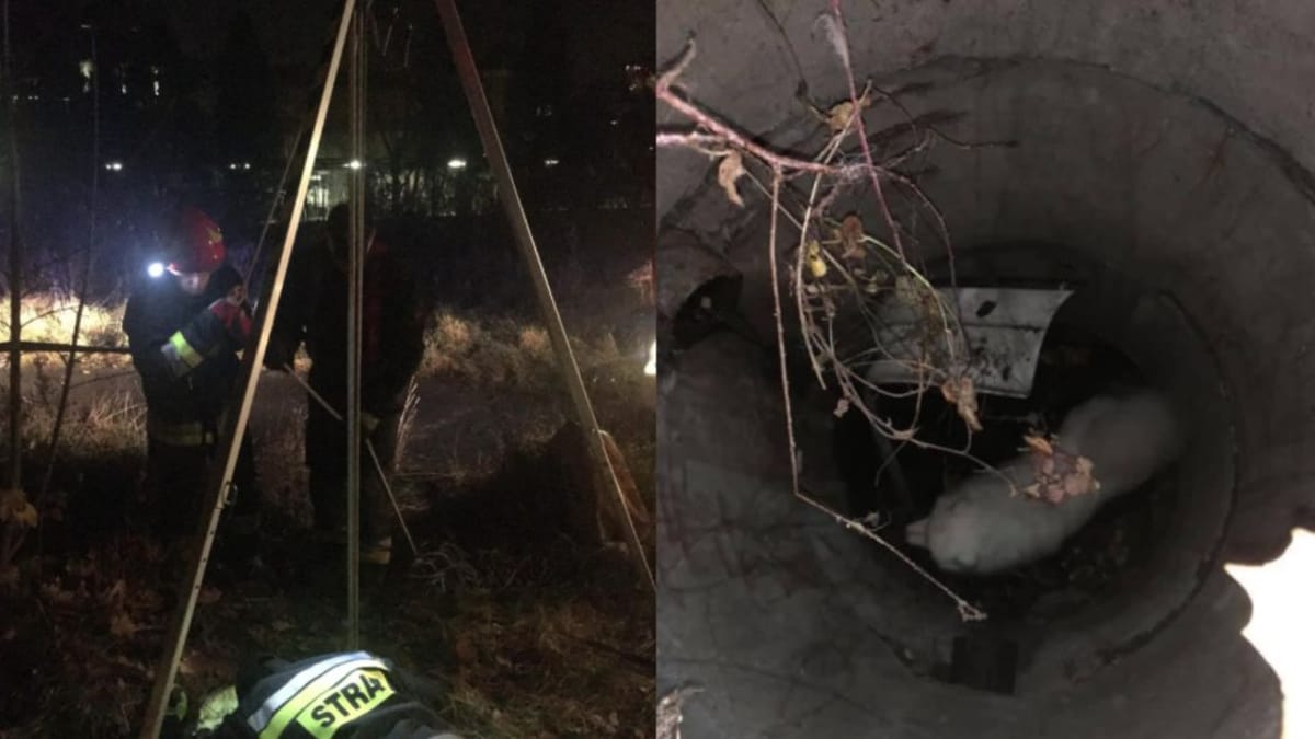 Feuerwehr muss weinen: Wie kommt so etwas nur in den Gully?