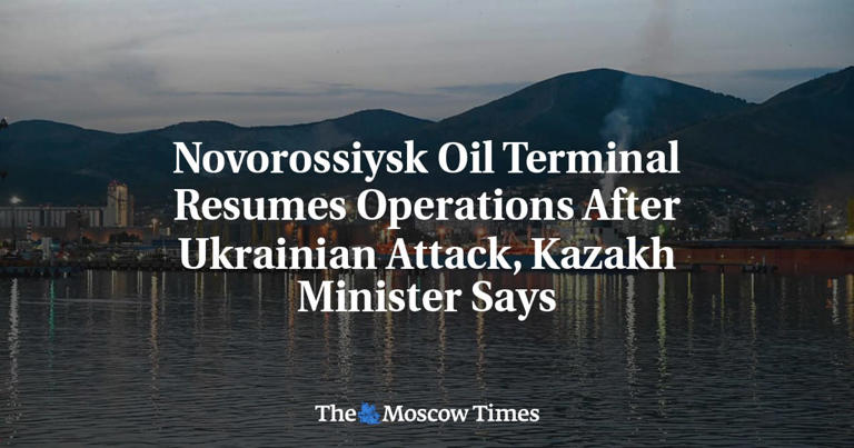 Novorossiysk Oil Terminal Resumes Operations After Ukrainian Attack