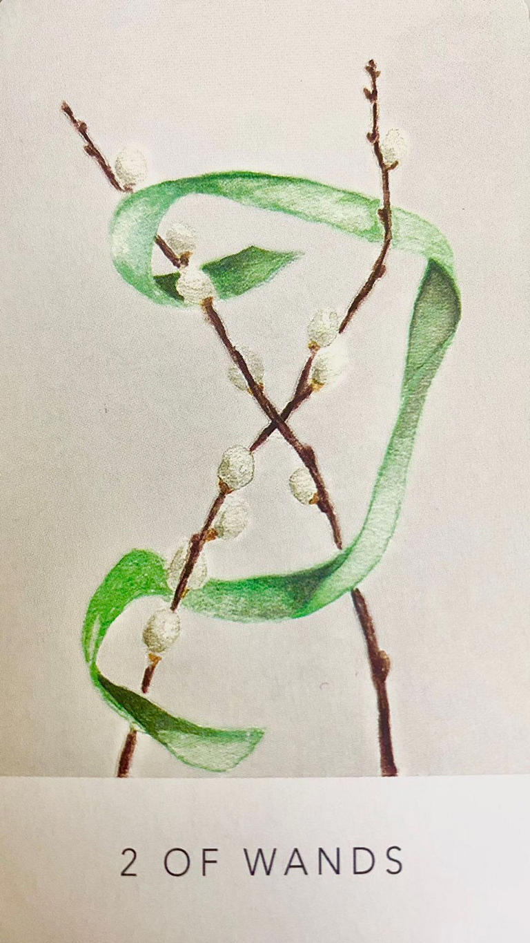 Weekly Tarot Predictions: Tarot Card Reading From Nov 17th, 2025 To Nov ...