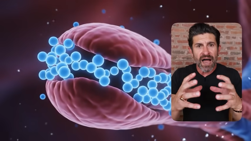 What Happened When I Took Creatine for 30 Days