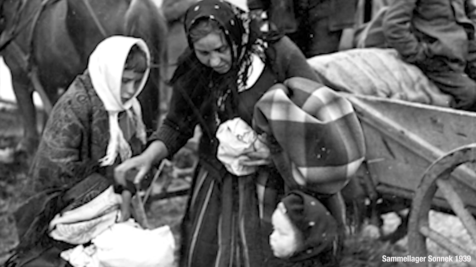 Hitler's screen idol: Leni Riefenstahl - Biography