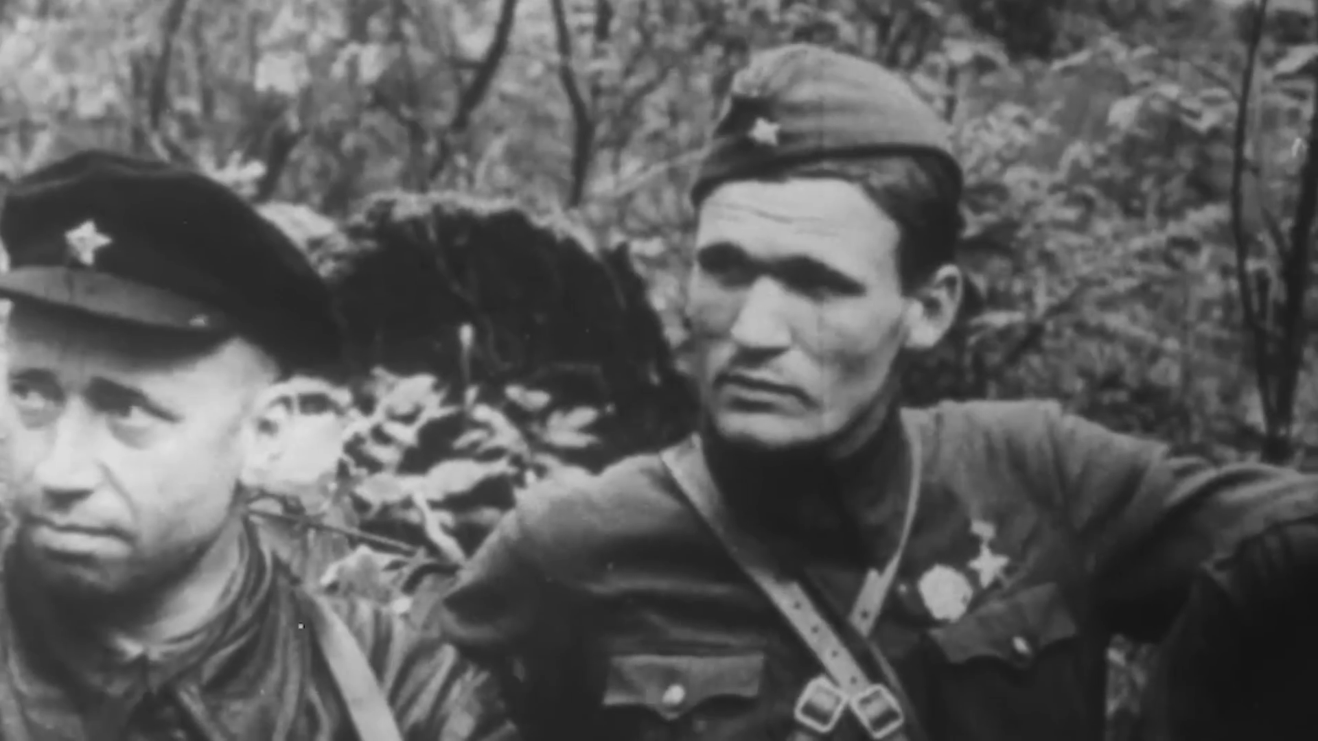 Operation Halyard: The Untold Story of 512 Lives Saved Behind Enemy Lines