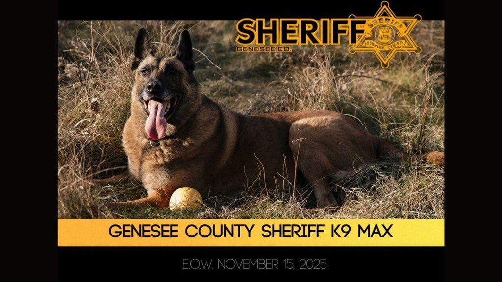 Genesee County sheriff's office announces death of K-9 Deputy Max