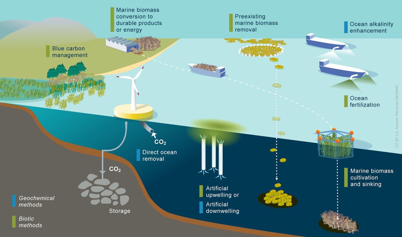 Can we tap the ocean's power to capture carbon?