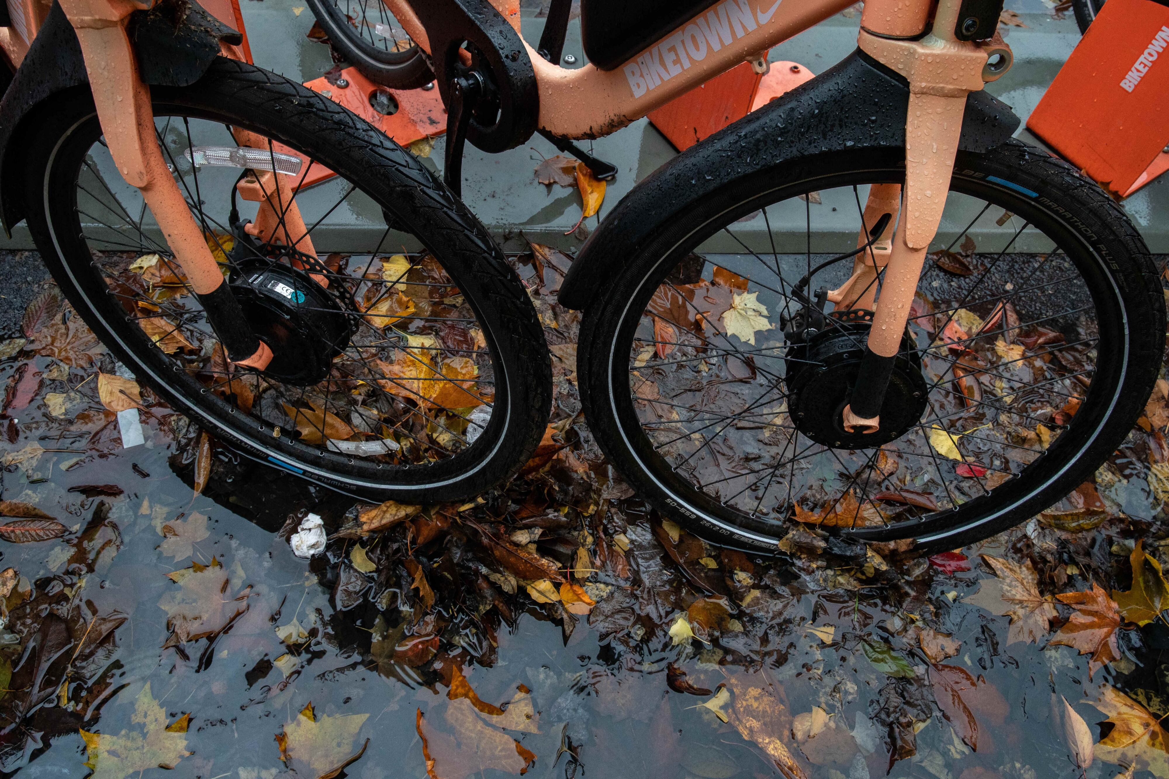 Cool, damp Monday in store for Portland