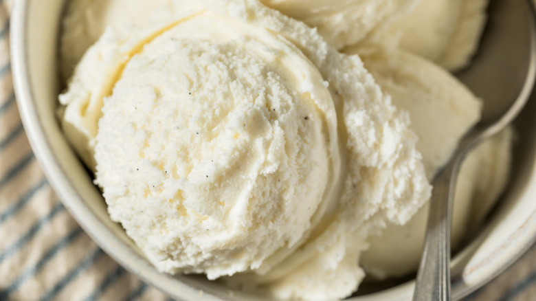 This Simple Ingredient Makes Homemade Vanilla Ice Cream Taste Like It's ...