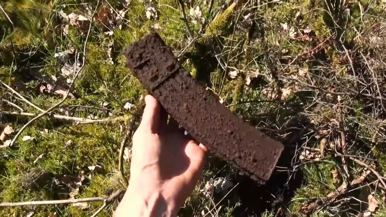 Rediscovering Soviet Wartime Artifacts on the Eastern Front