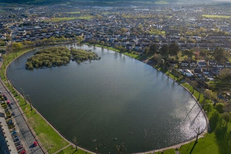 Dead swans and duck found at Cork city's Lough as bird flu probe launched