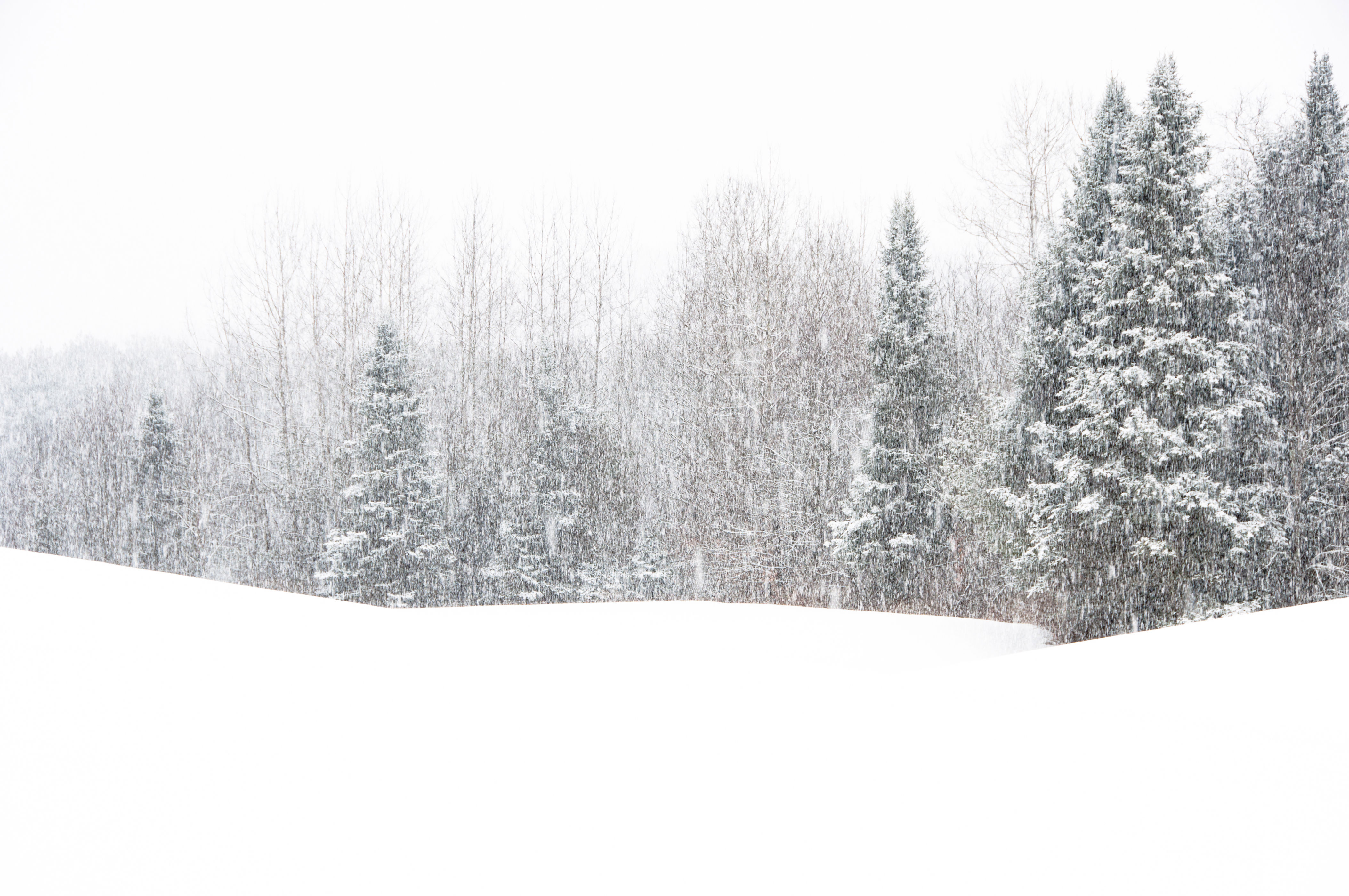 Winter storm warning as 16 inches of snow to strike Northeast
