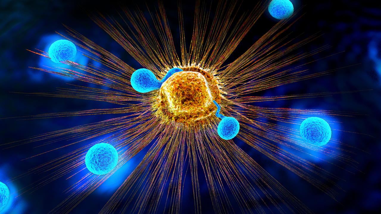 High-fiber diet may 'rejuvenate' immune cells that fight cancer, study ...