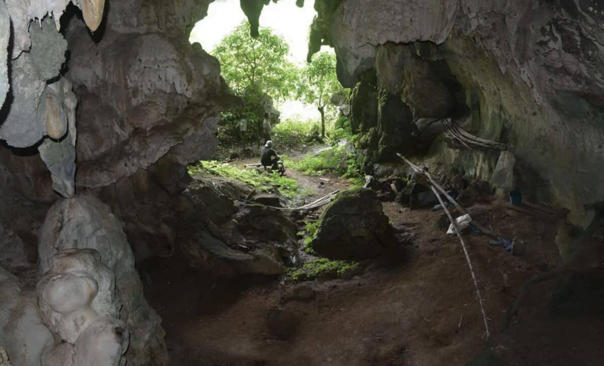 Scientists Discover the World’s Oldest Cave Art in Indonesia, It ...