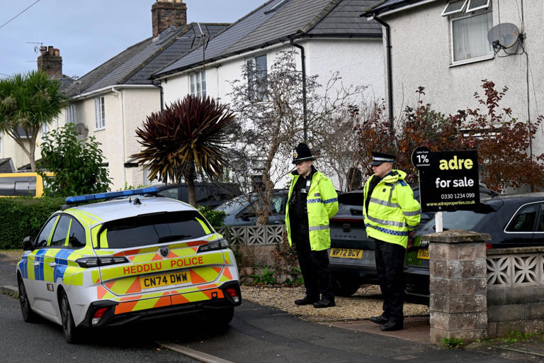 Tragic Death of Baby Boy in XL Bully Dog Attack