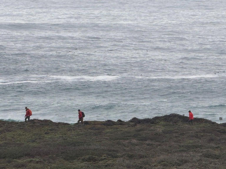 "Tragic series of events" says man who tried to save Calgary father ...