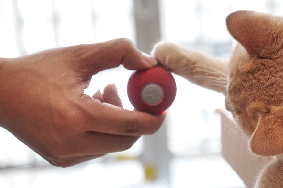 This self-rolling ball is cat-approved, and now 47% off