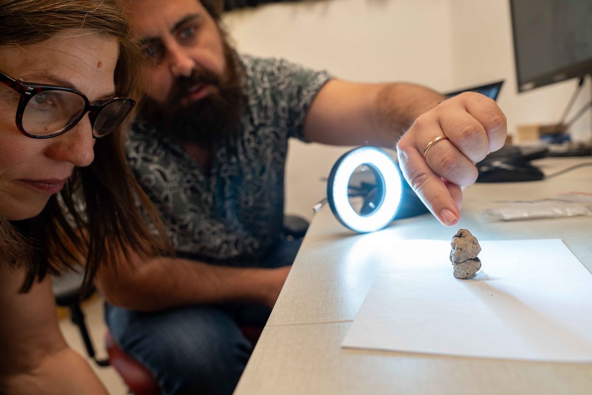 This 12,000-Year-Old Artwork Shows An "Extraordinary" Moment In History ...