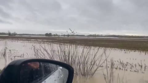 Italy: Heavy Rain Causes River to Overflow, Rescue Underway in Friuli ...