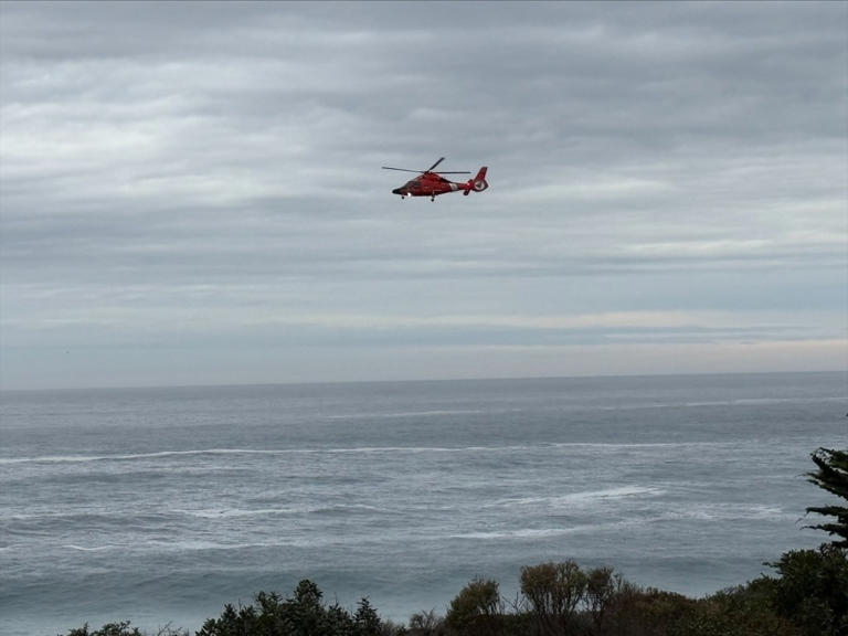 Body of 7-year-old girl whose dad died trying to save her when was ...