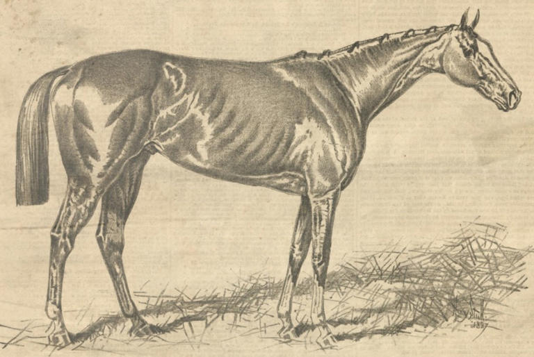 Lest We Forget: Before Secretariat, Hanover Was The Original ...