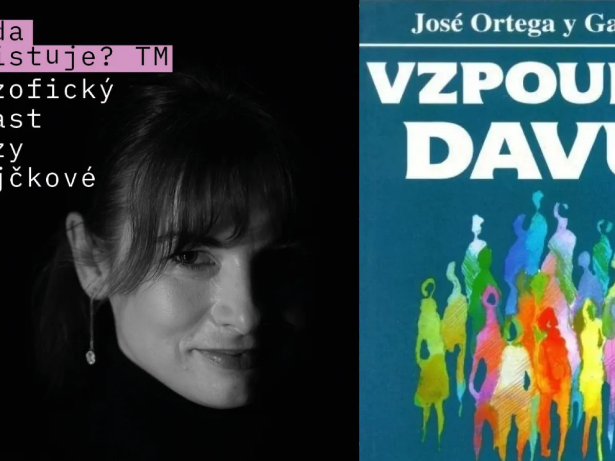 Mizí lidé: mezi vzpourou davů a vzpourou profilů