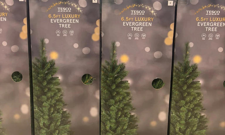 Britons rage over 'woke' Tesco's decision to rename Christmas trees as ...