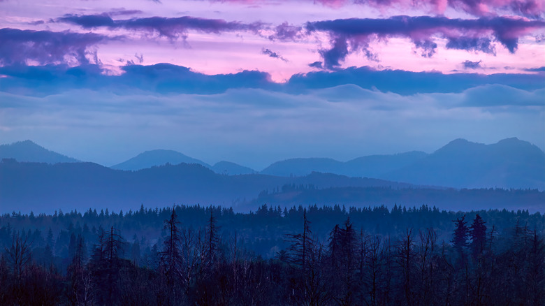 Situated Between Seattle And Vancouver Is Washington's Hidden Gem ...