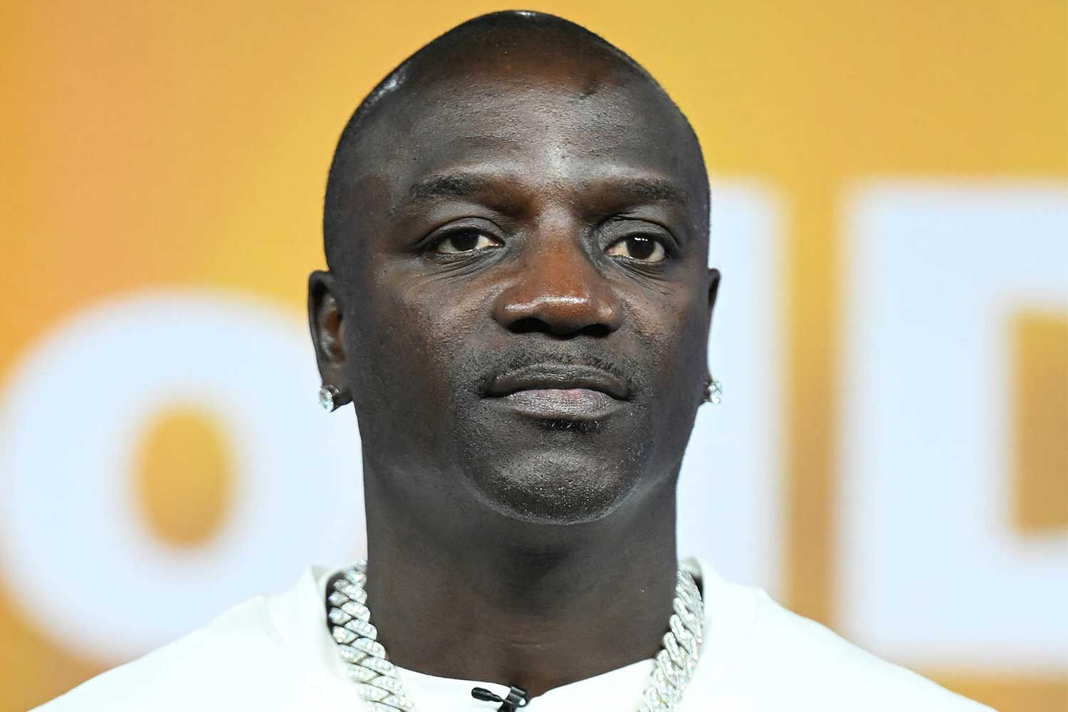 Akon Requests Joint Legal and Physical Custody of Daughter Journey, 17 ...