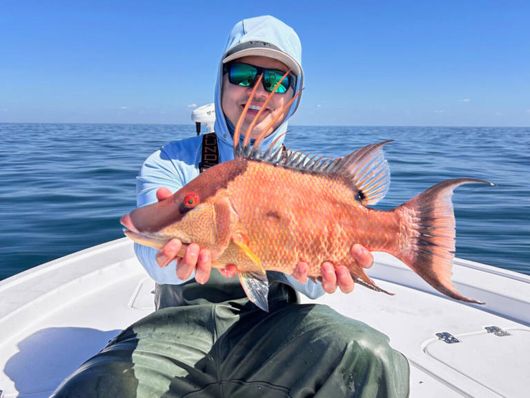 Hogfish Fishing: A Fall Favorite for Florida
